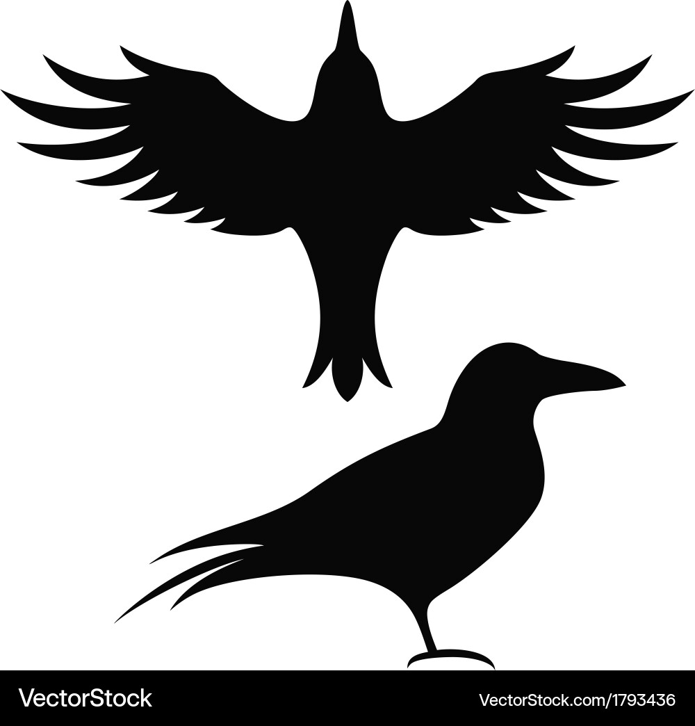 Raven Royalty Free Vector Image - VectorStock