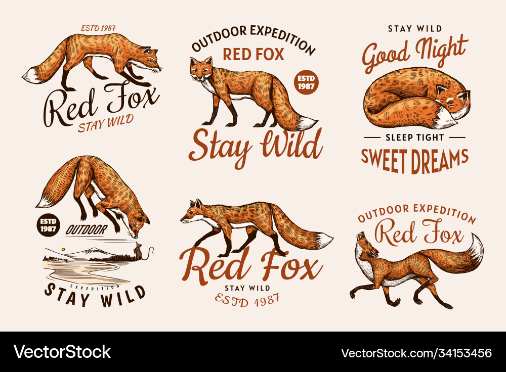 Red fox badges set forest ginger wild animal Vector Image