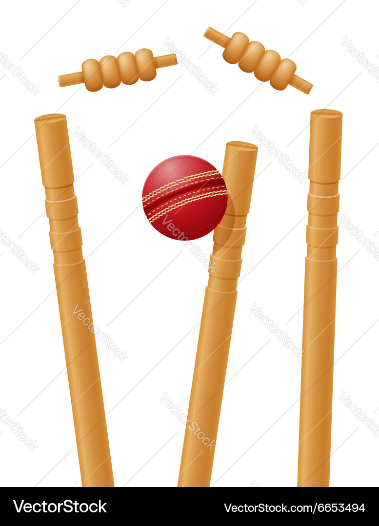 Ball cricket in wicket Royalty Free Vector Image