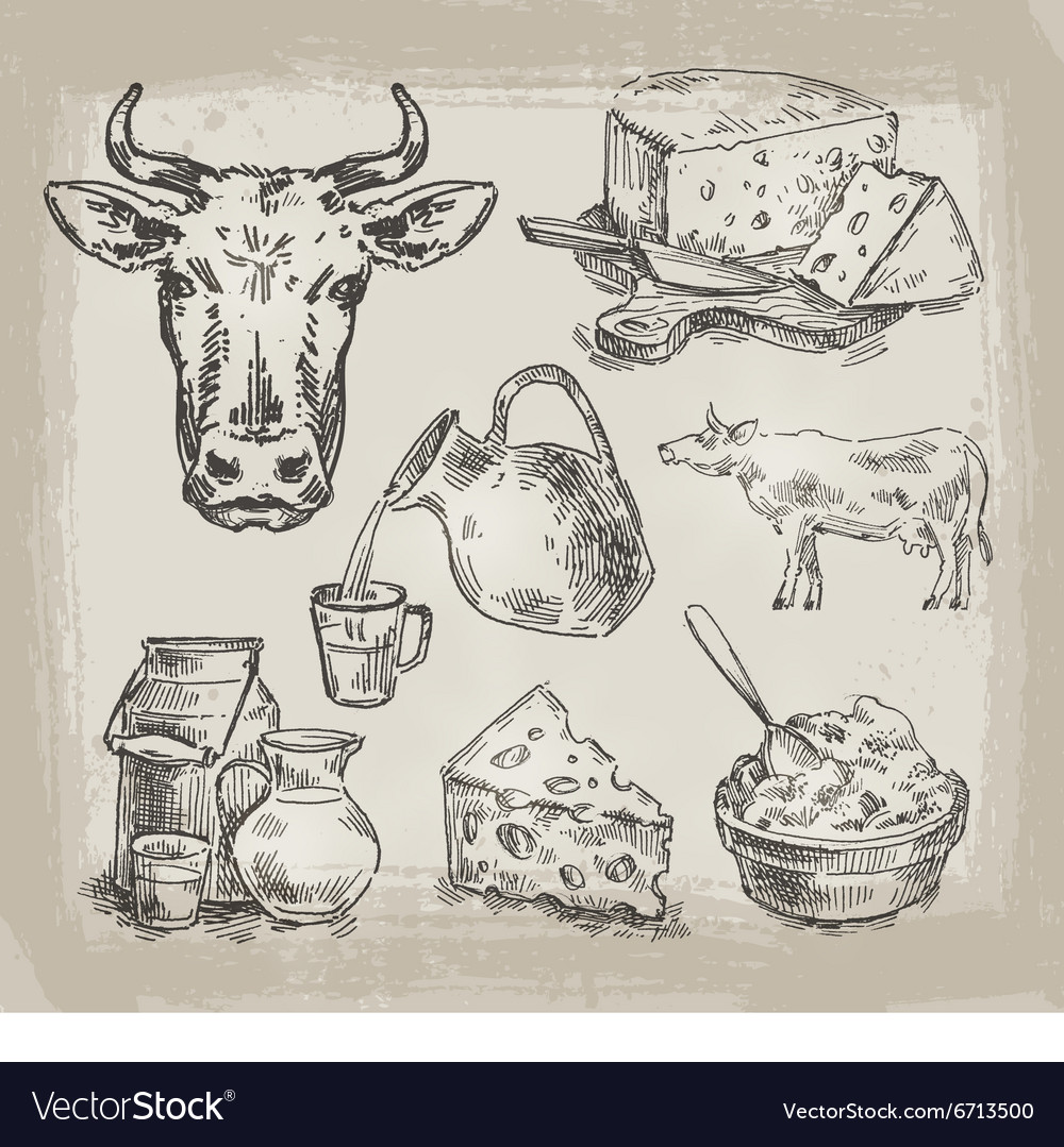 Hand Drawn Sketch Set Of Dairy Products And Cow Vector Image