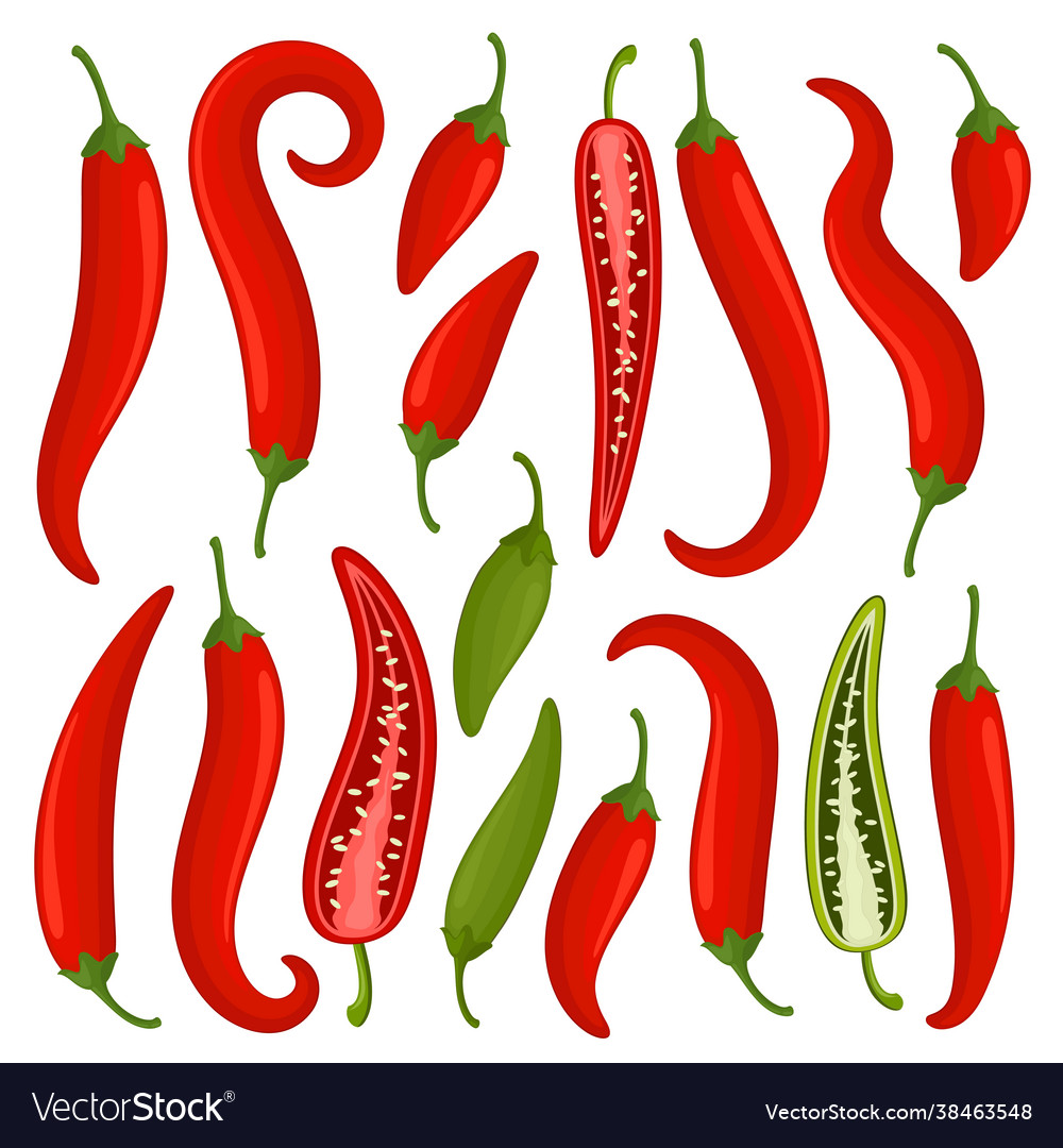 Chilly pepper Royalty Free Vector Image - VectorStock