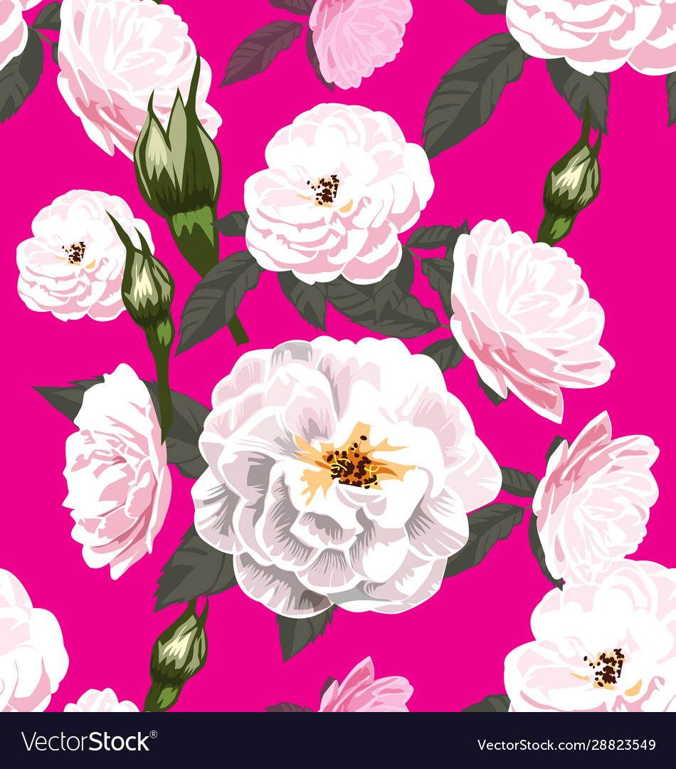 Rose seamless pattern Royalty Free Vector Image