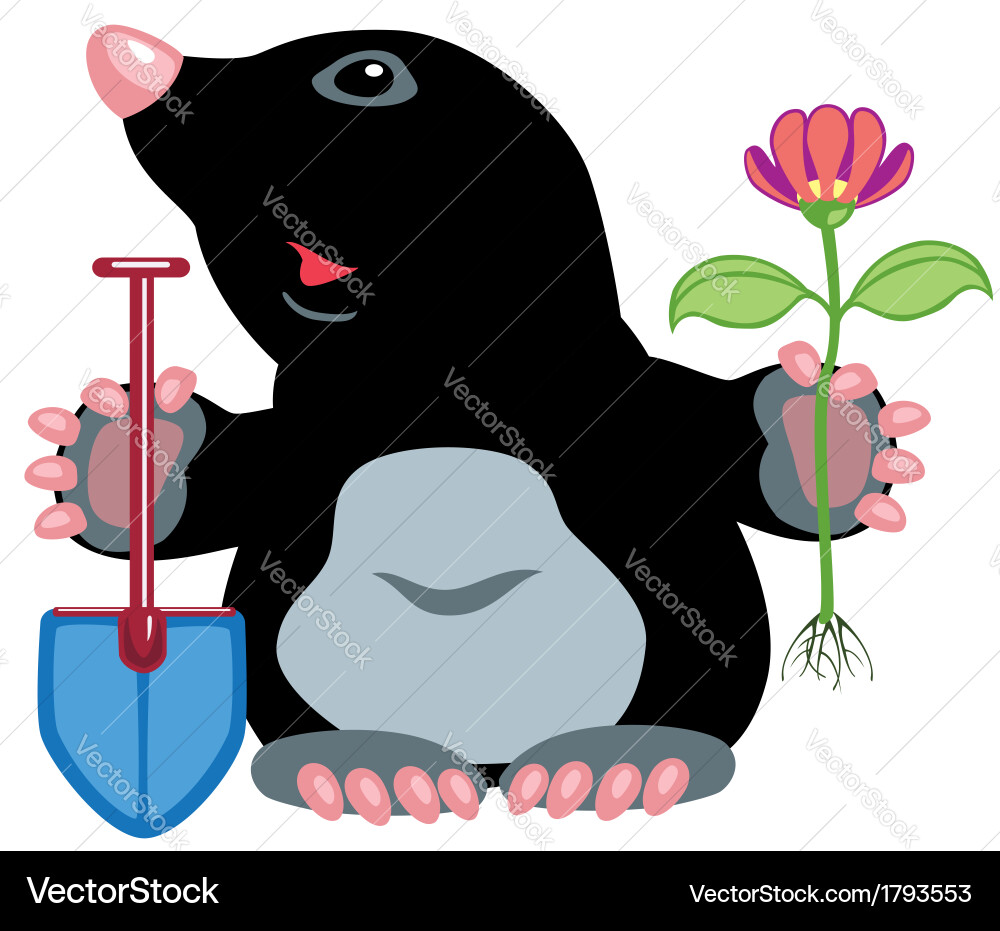 Cartoon mole Royalty Free Vector Image - VectorStock