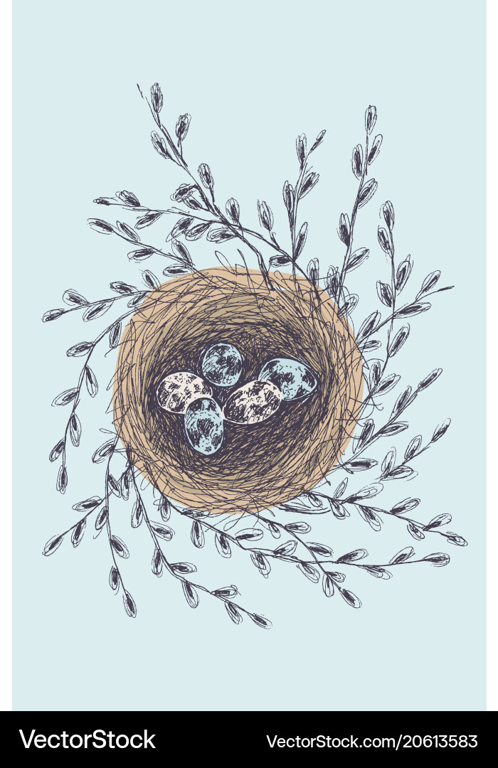 Hand drawn nest Royalty Free Vector Image - VectorStock