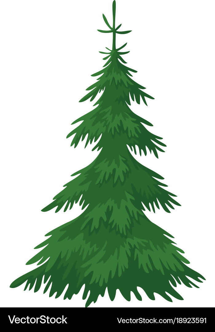 Christmas fir tree Royalty Free Vector Image - VectorStock