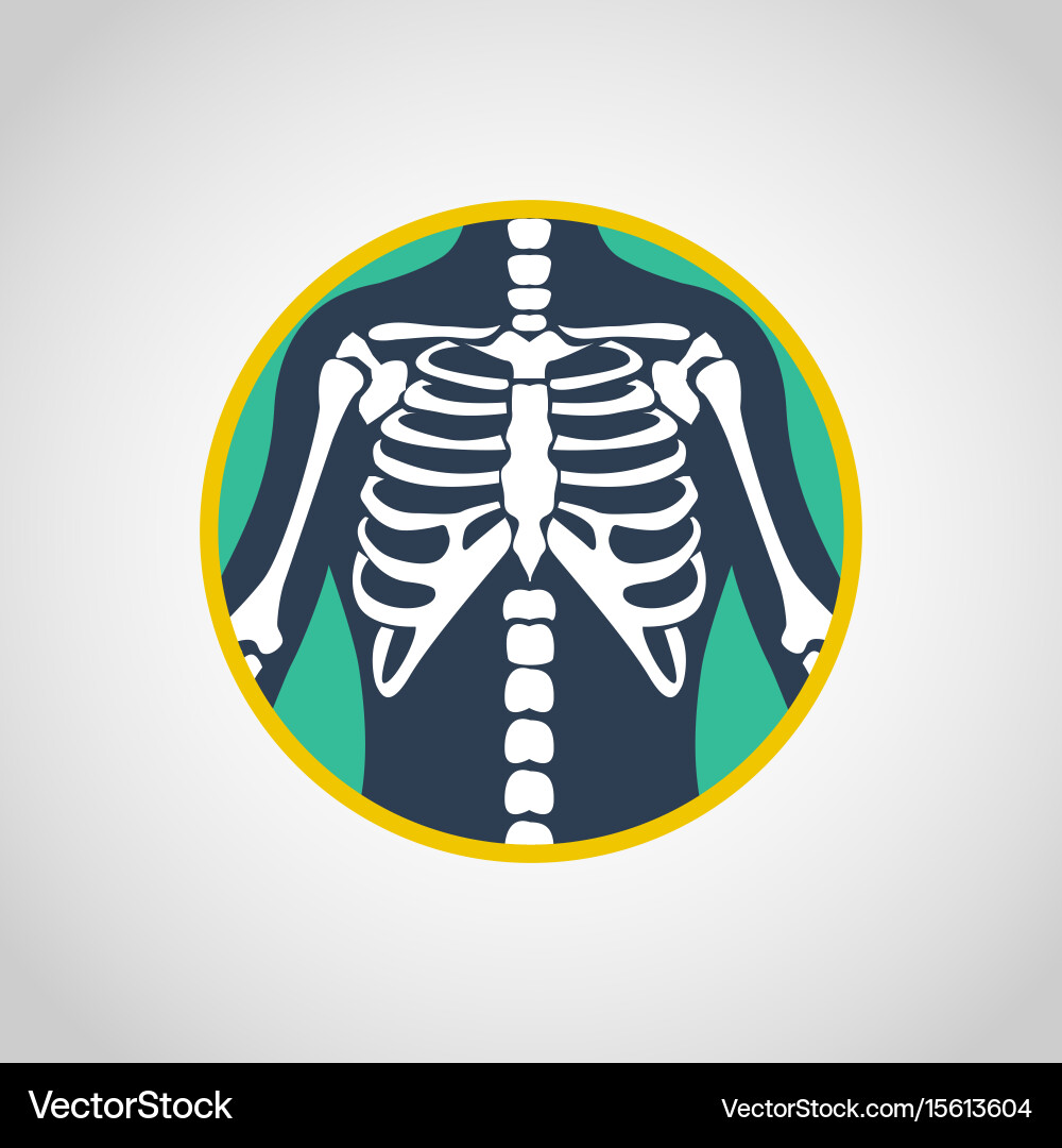 Chest x-ray logo icon design Royalty Free Vector Image