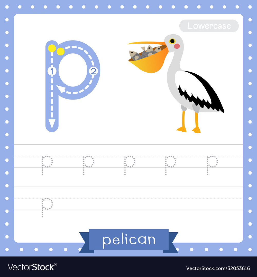 Letter p lowercase tracing practice worksheet Vector Image