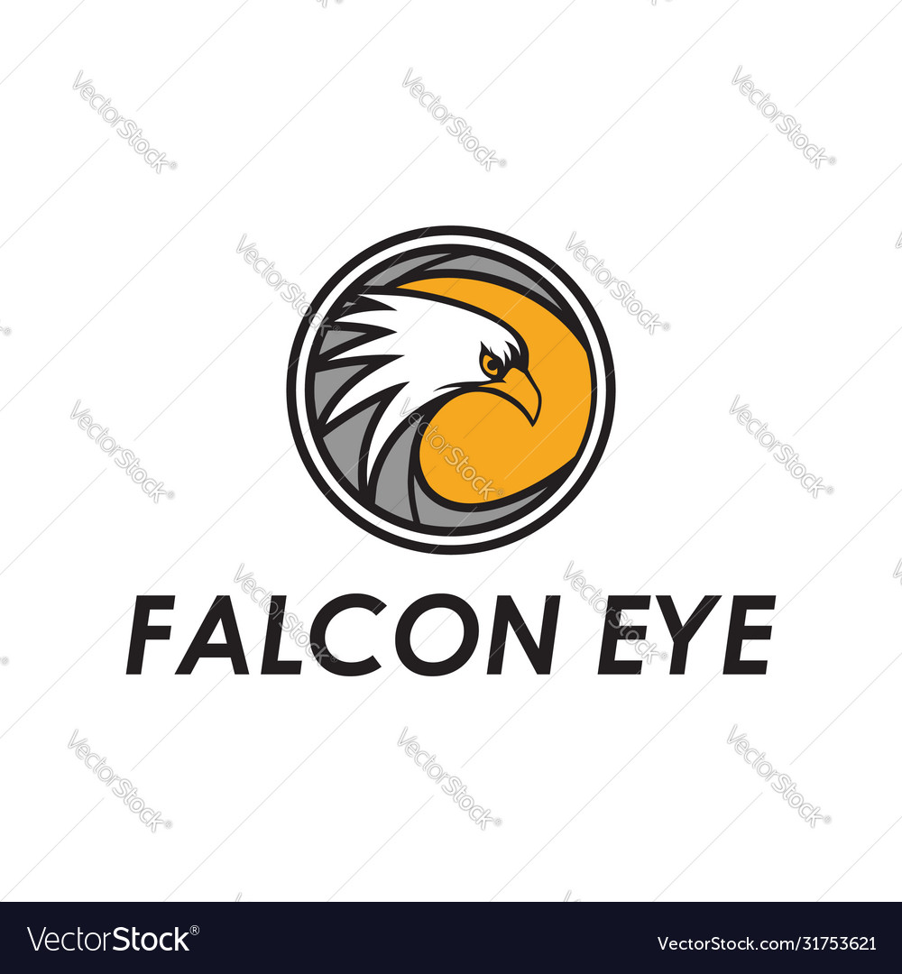 Falcon eye logo Royalty Free Vector Image - VectorStock