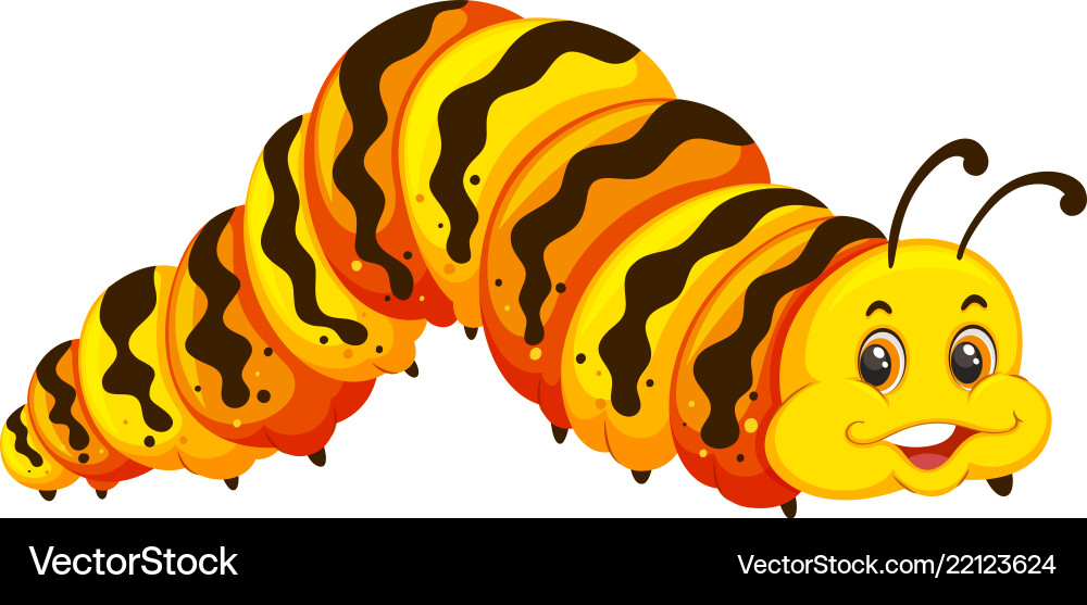 A caterpillar on white background Royalty Free Vector Image