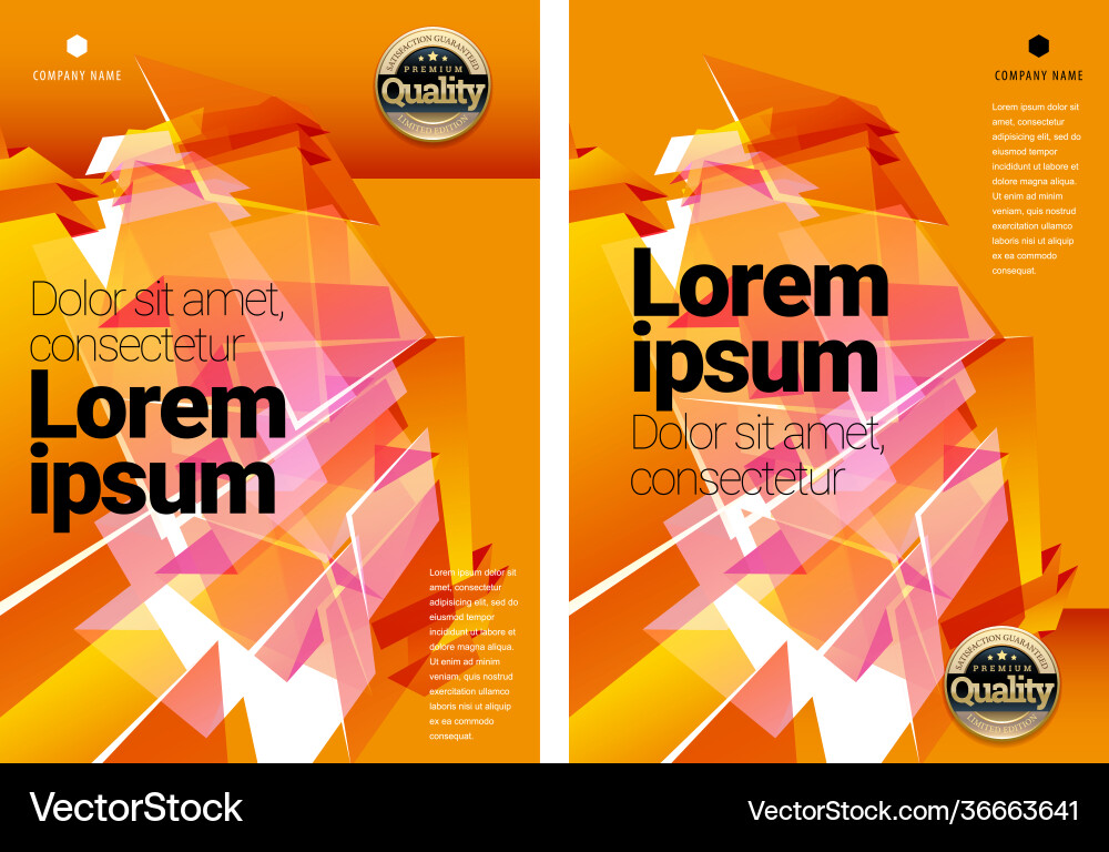 Cover template catalog magazine flyer mockup Vector Image