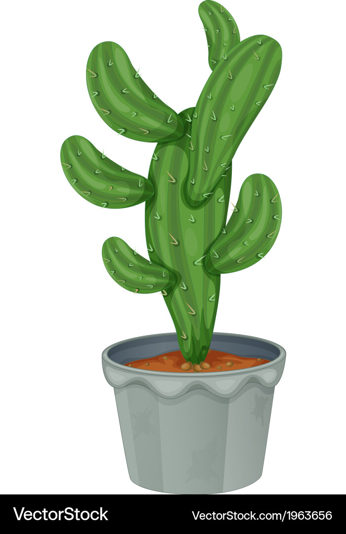 A cactus plant Royalty Free Vector Image - VectorStock