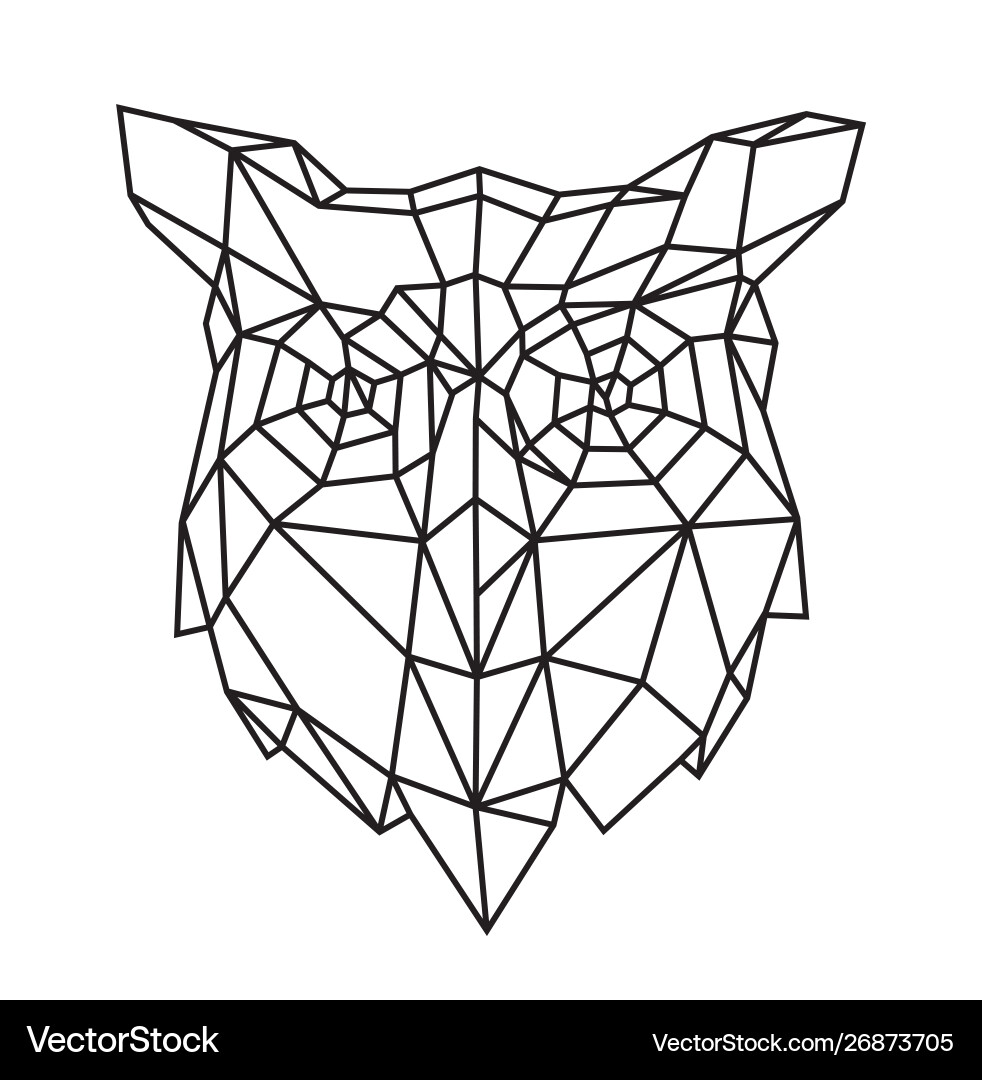 Low poly an owl head outline drawing retro Vector Image