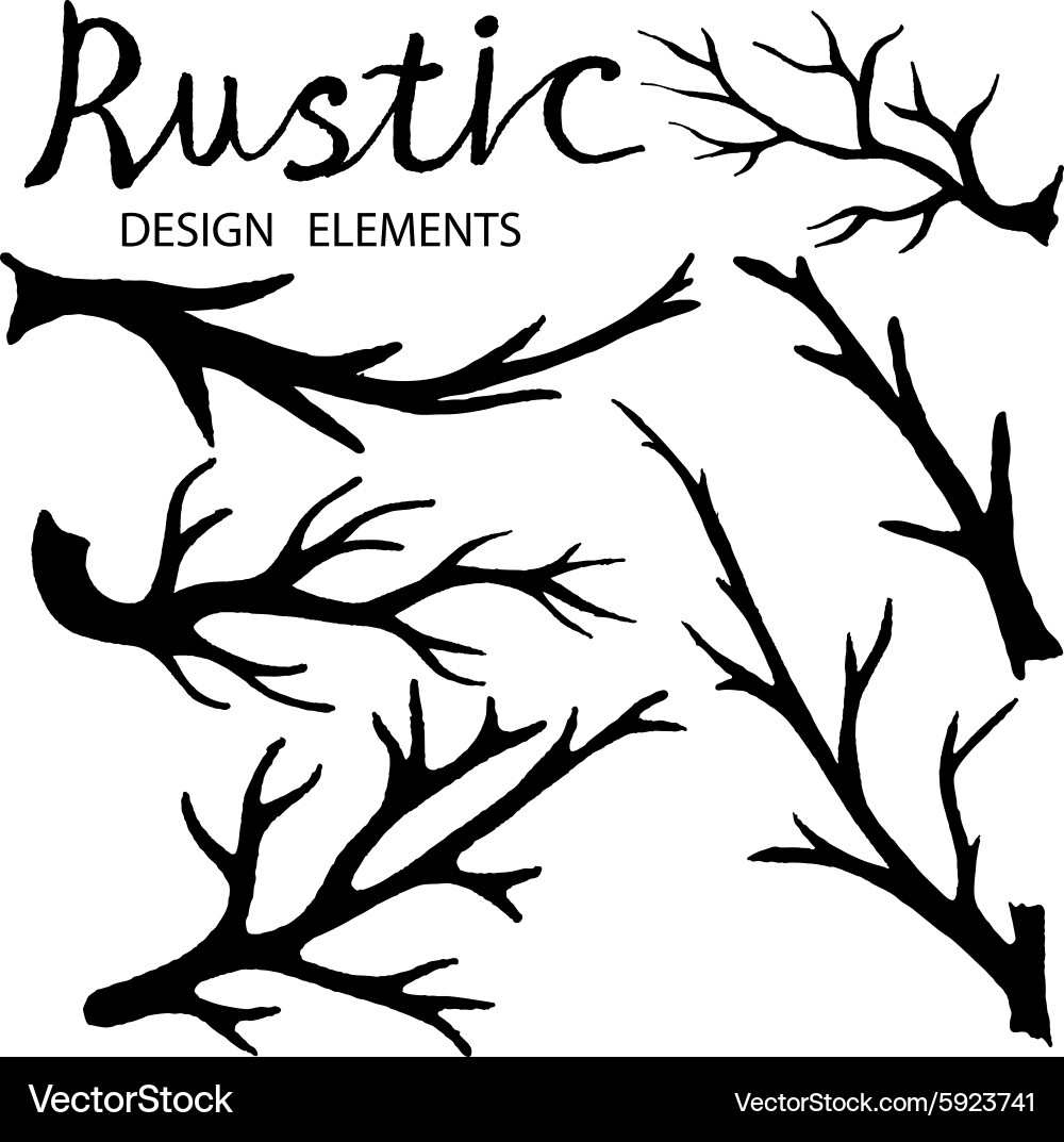 Hand drawn branches Royalty Free Vector Image - VectorStock
