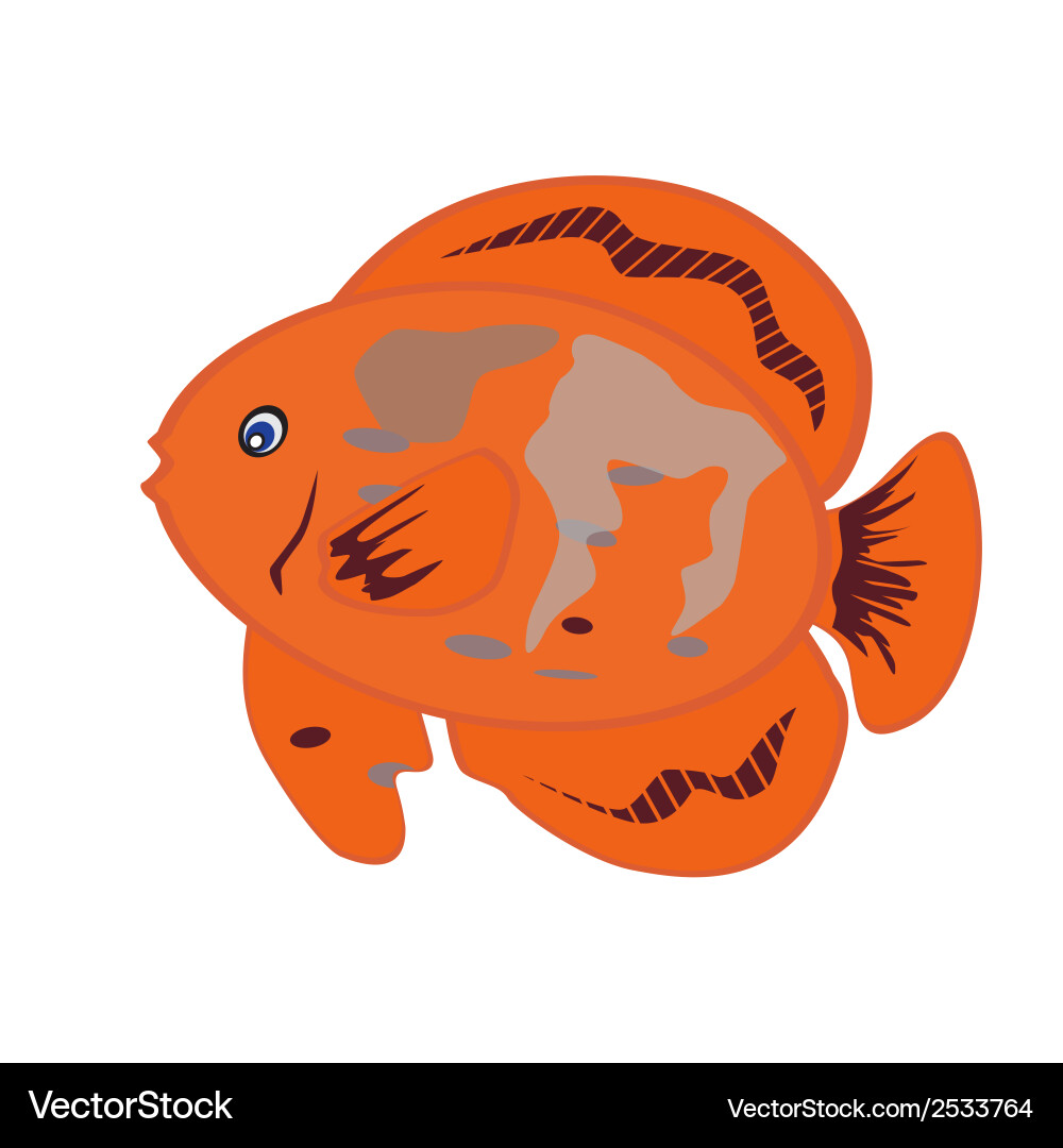 Orange fish isolated on white background e Vector Image