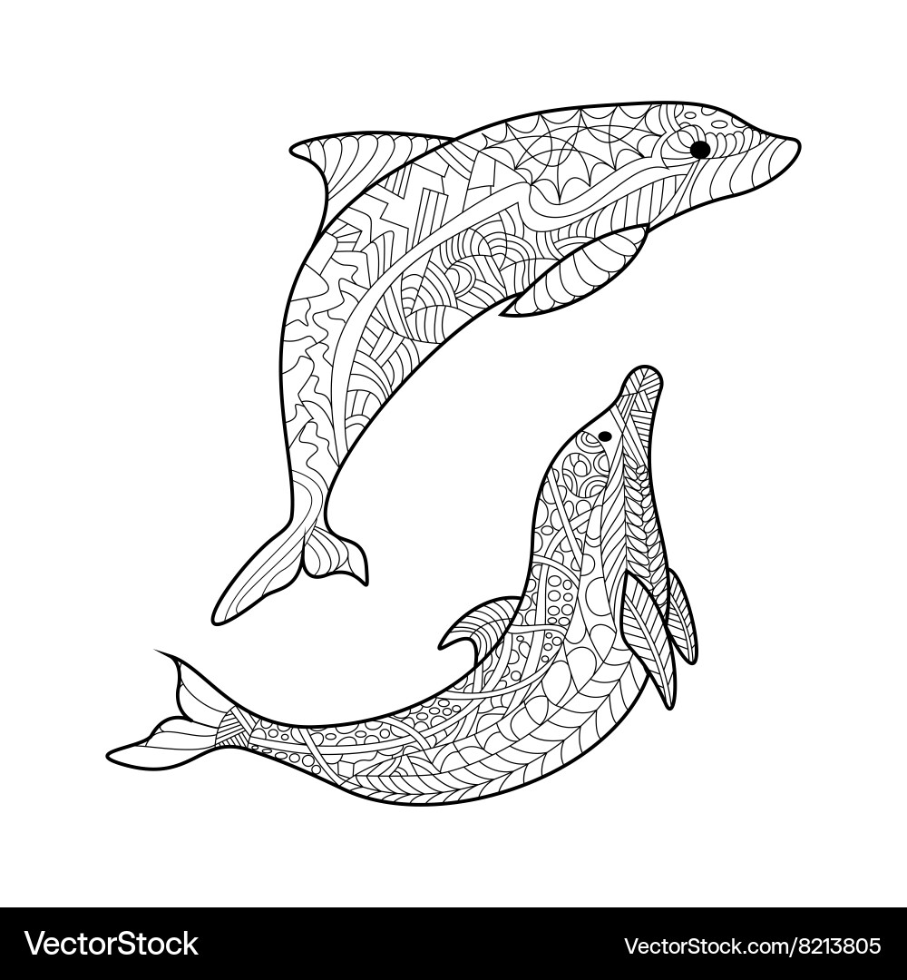 Dolphin coloring book for adults Royalty Free Vector Image
