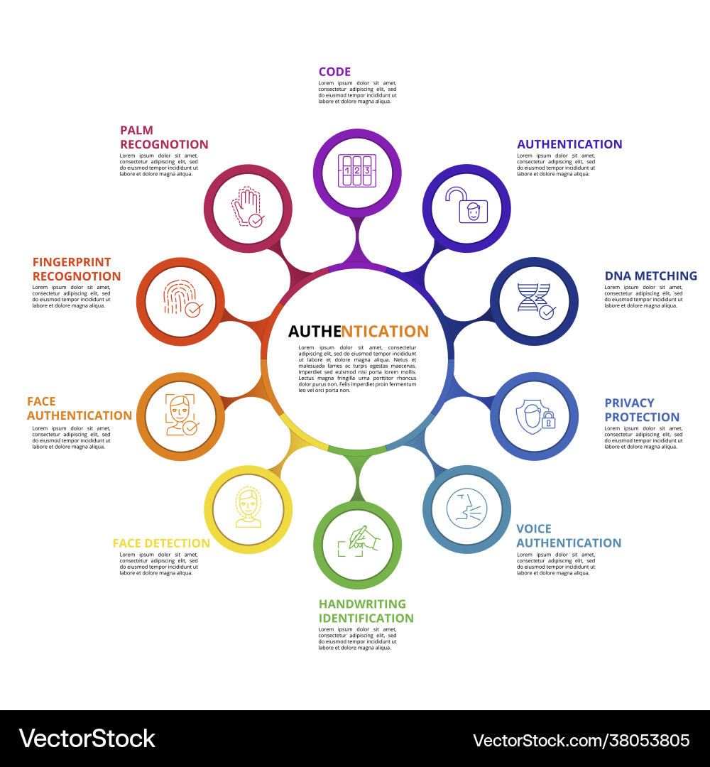 Infographic authentication template icons Vector Image