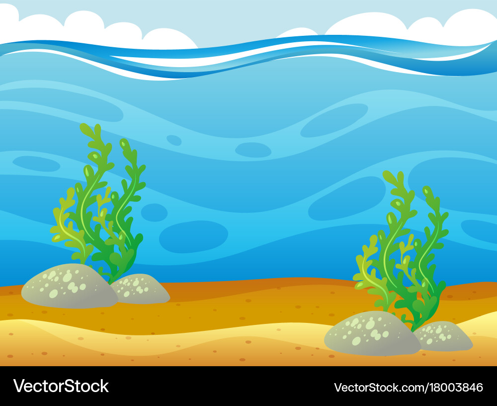 Ocean scene with seaweed underwater Royalty Free Vector