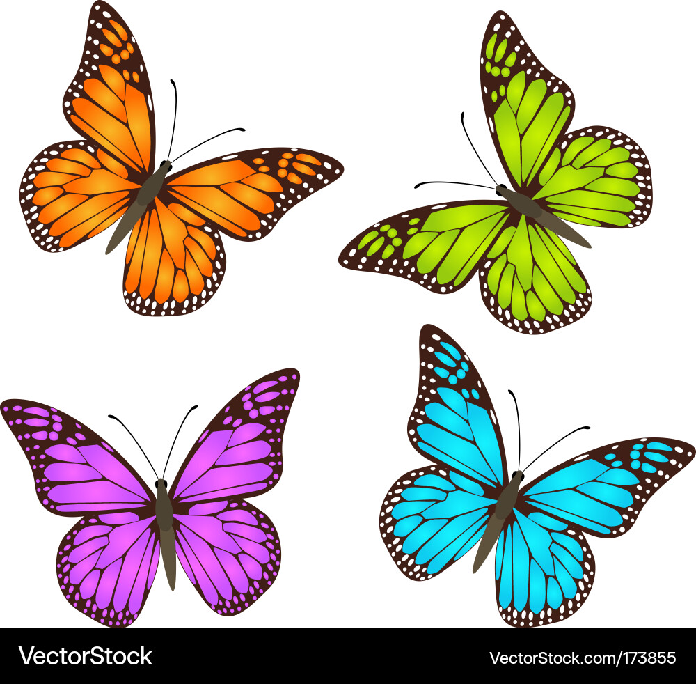 Monarch butterfly Royalty Free Vector Image - VectorStock