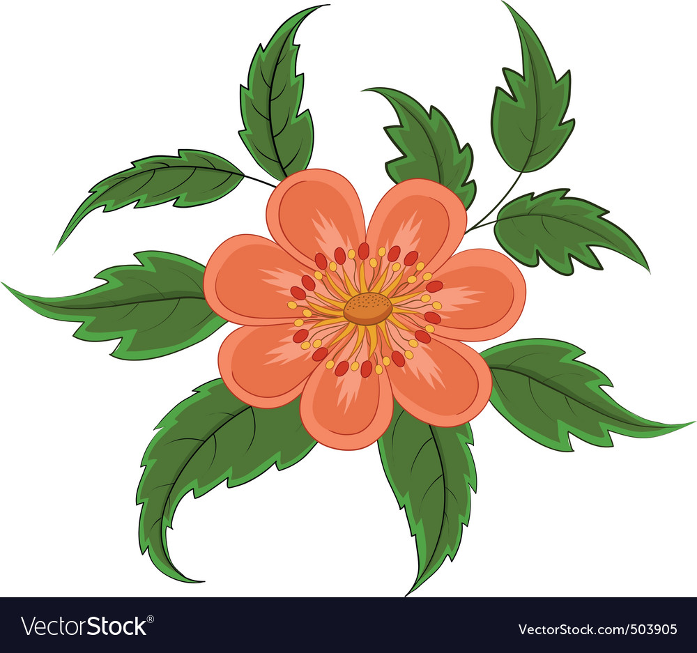 Abstract Flower Vector