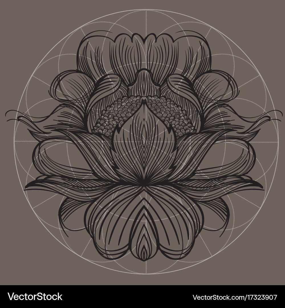Elegant element of a stylized flower with smooth Vector Image
