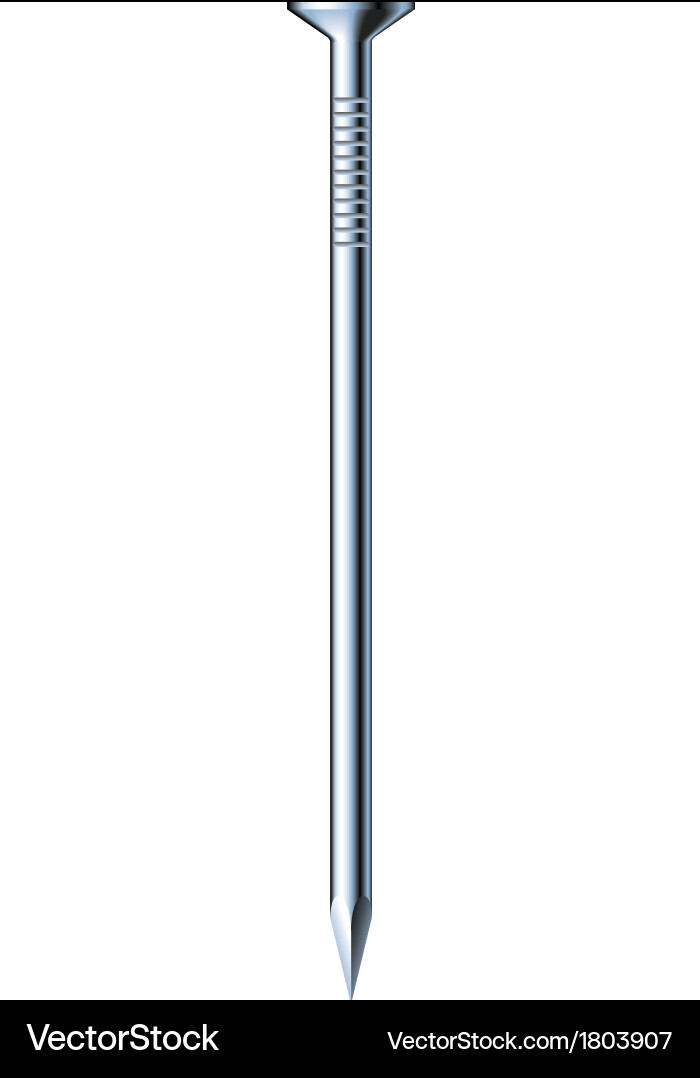 Metal nail Royalty Free Vector Image - VectorStock