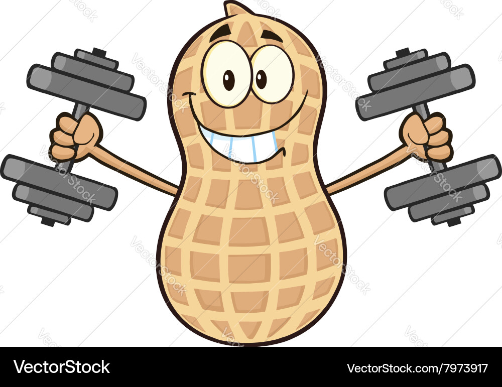 Peanut Cartoon Doing Weights Royalty Free Vector Image