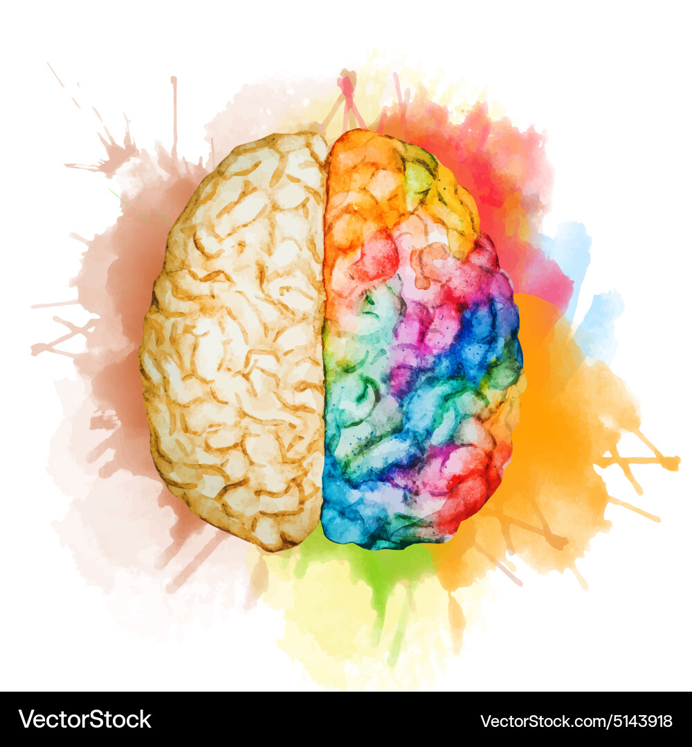 Watercolor brain Royalty Free Vector Image - VectorStock
