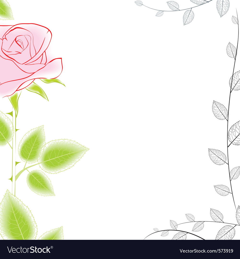 Rose border Royalty Free Vector Image - VectorStock