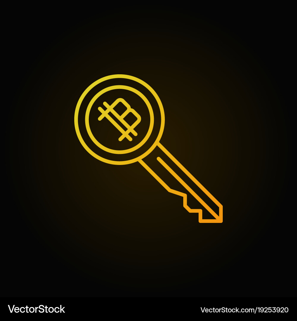 Colorful cryptocurrency key concept outline Vector Image