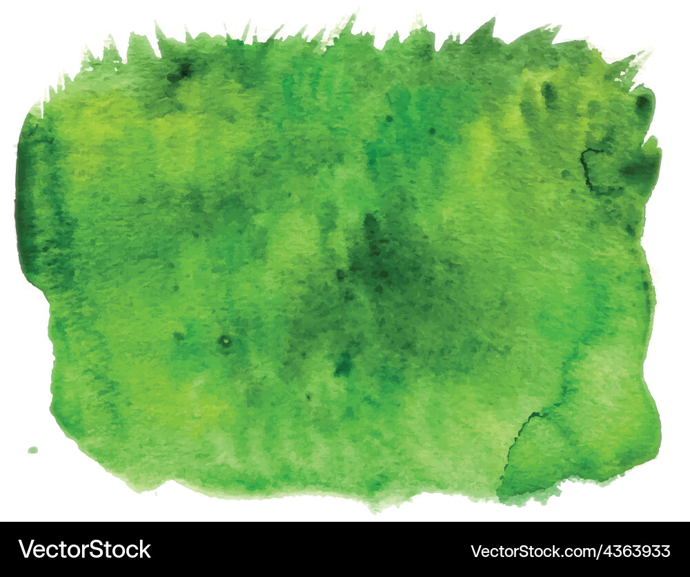 Grass watercolour Royalty Free Vector Image - VectorStock