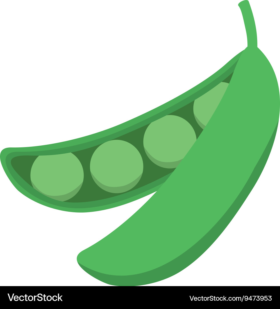 Bean icon Vegetable design graphic Royalty Free Vector Image