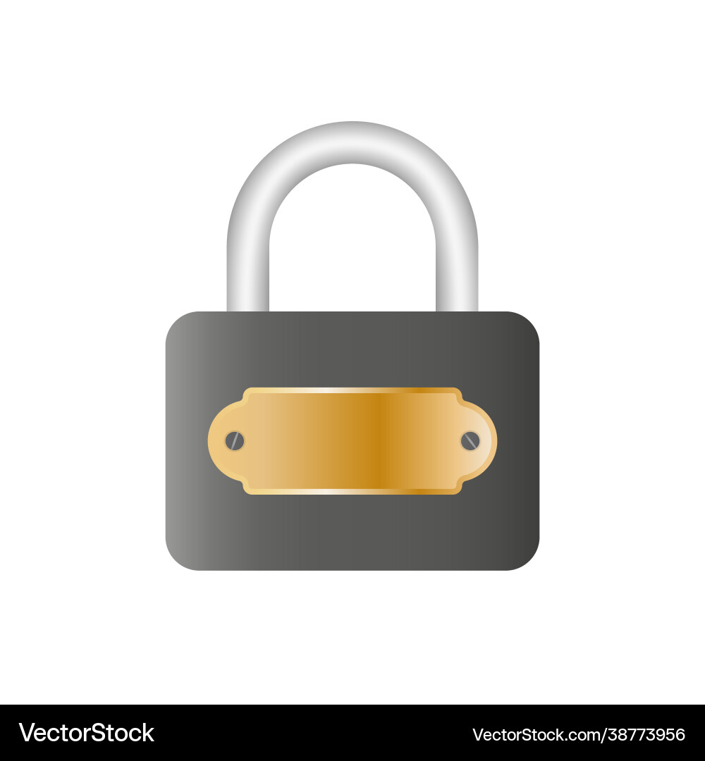 Square door lock modern castle isolated on white Vector Image
