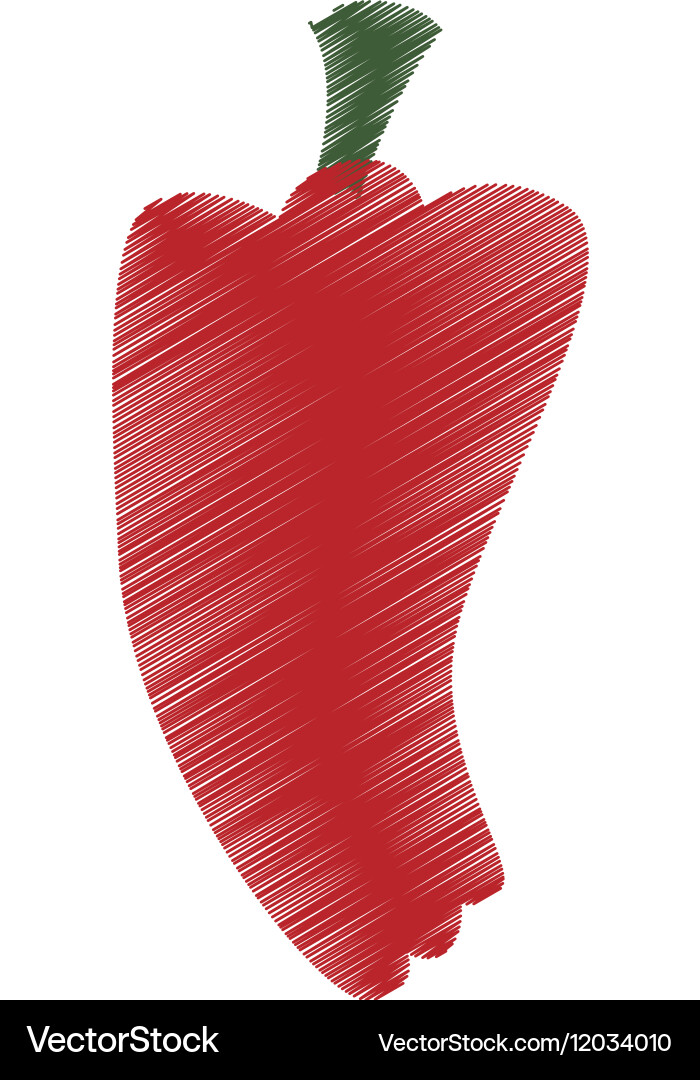 Pepper vegetable icon Royalty Free Vector Image