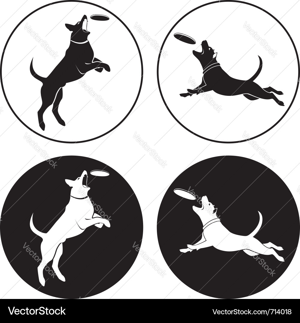 Dog-frisbee Royalty Free Vector Image - VectorStock