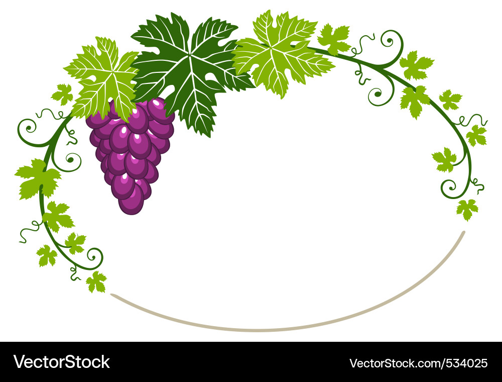 Grapes frame with leaves Royalty Free Vector Image
