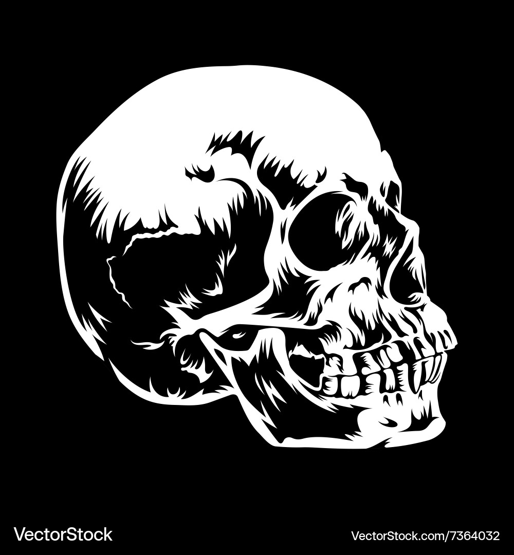 Skull 001 Royalty Free Vector Image - VectorStock