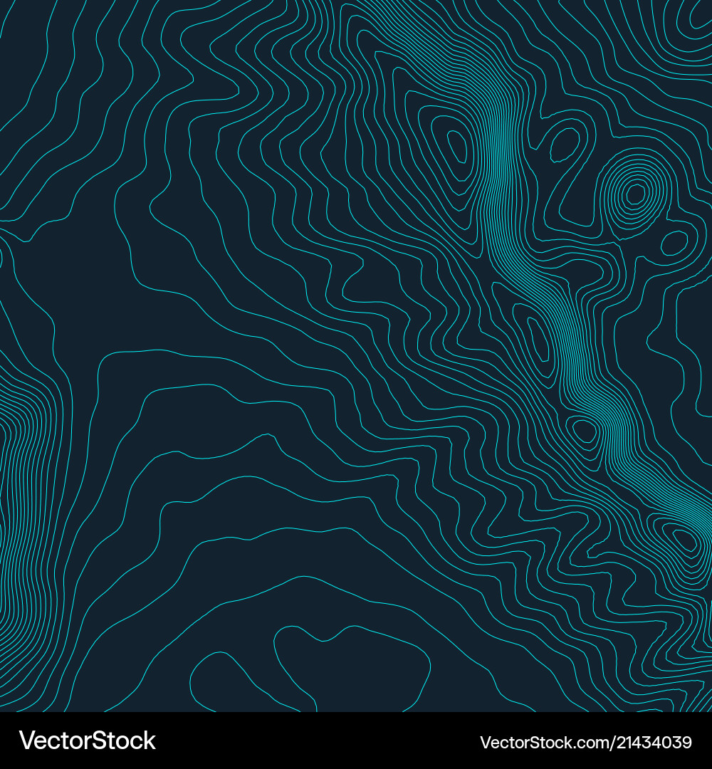 Topographic map background concept with space Vector Image
