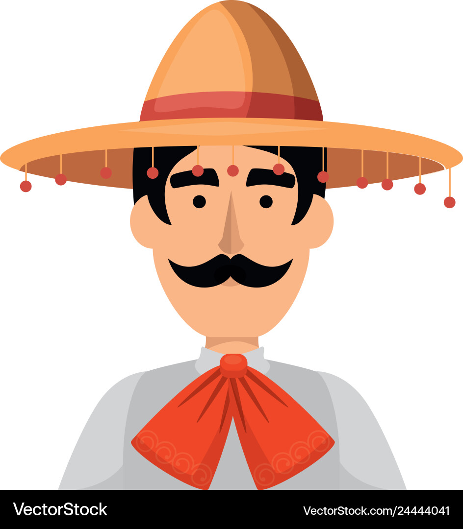 Traditional mexican mariachi character Royalty Free Vector
