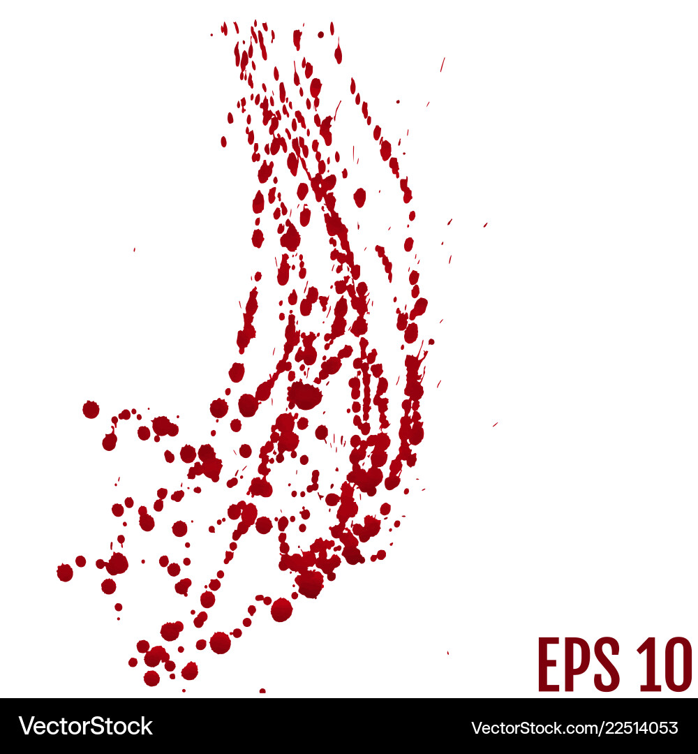 Blood splatter painted isolated on white Vector Image