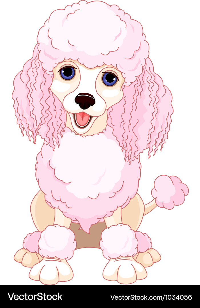 Pink poodle Royalty Free Vector Image - VectorStock
