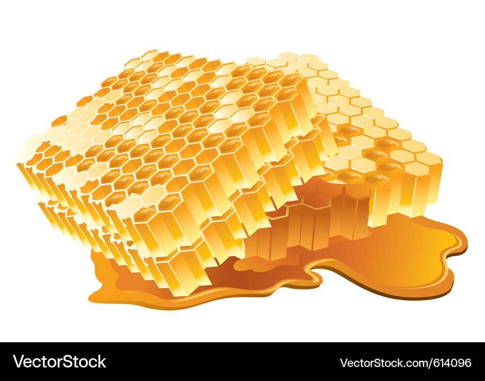 Honeycomb Royalty Free Vector Image - VectorStock
