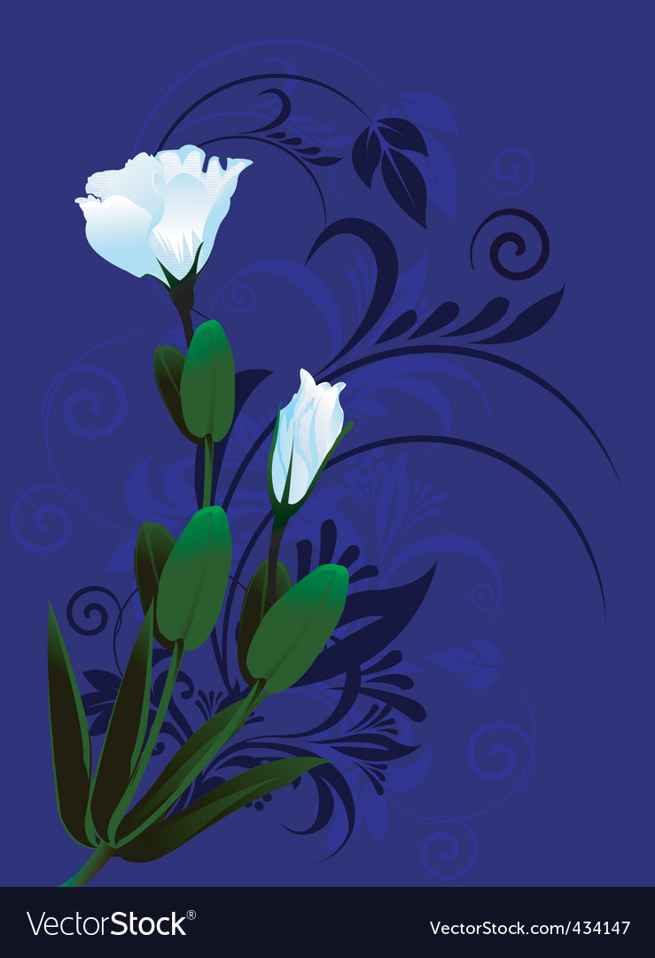 White flower Royalty Free Vector Image - VectorStock