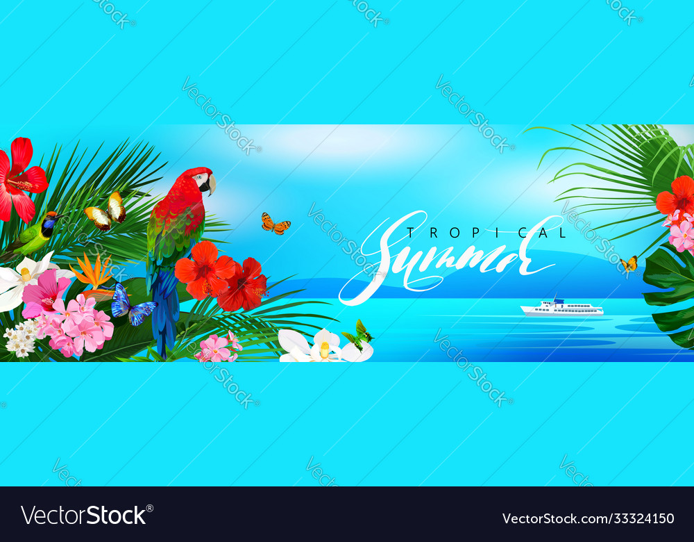 Beautiful tropical banner with flowersbutterfly Vector Image