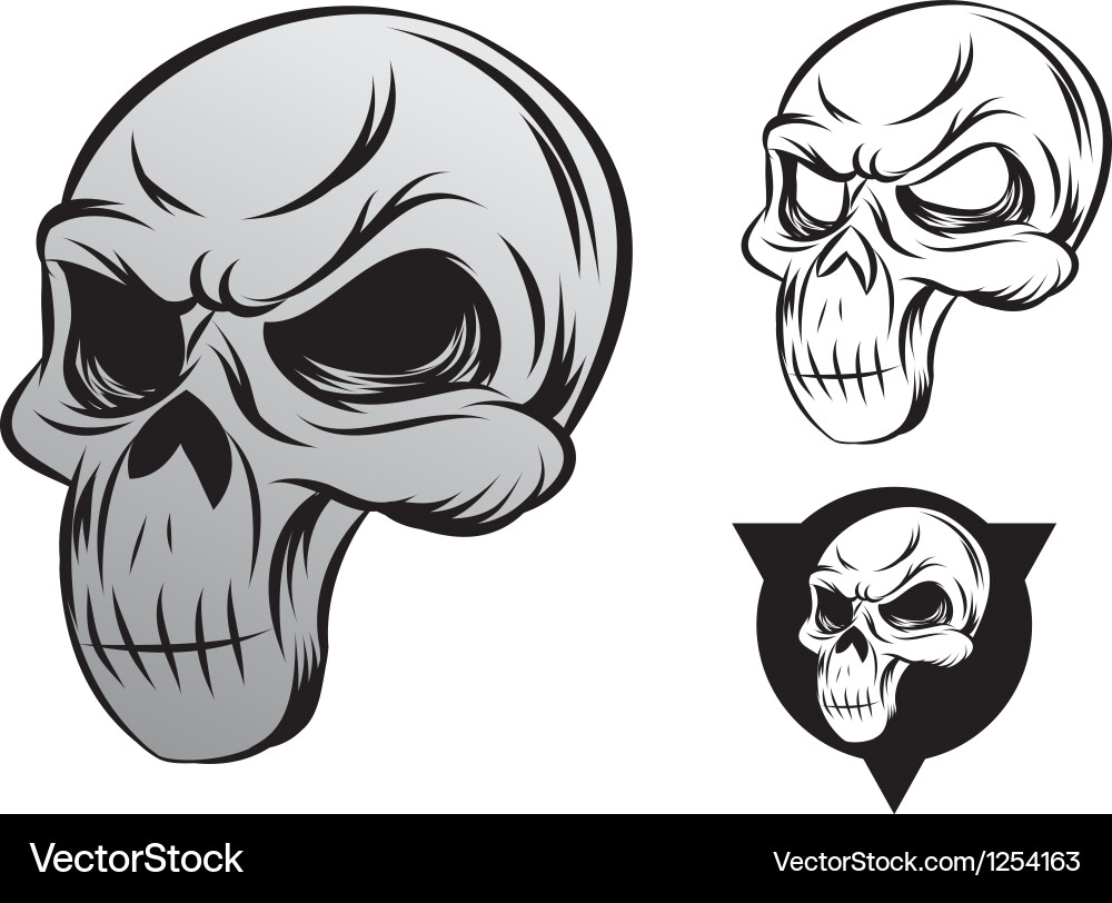 Single skull Royalty Free Vector Image - VectorStock