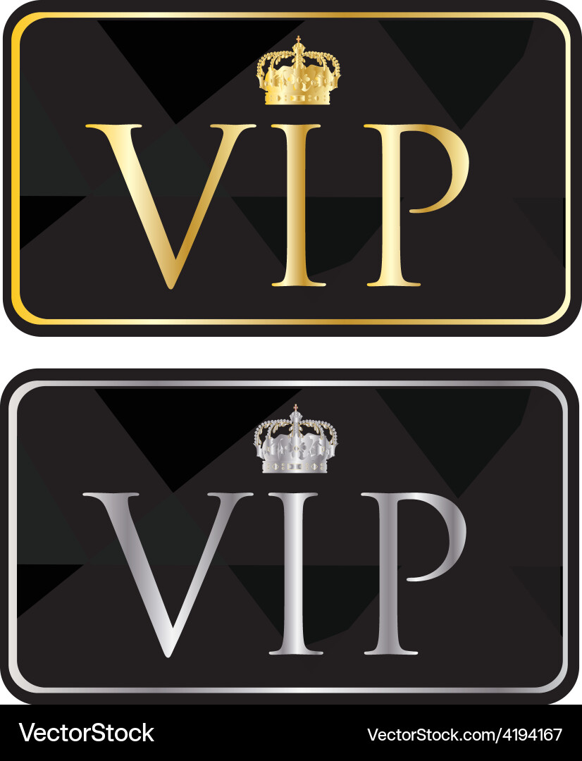 Silver and golden vip pass Royalty Free Vector Image