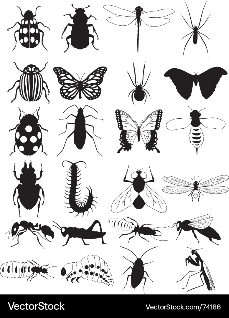 Bug silhouette Royalty Free Vector Image - VectorStock