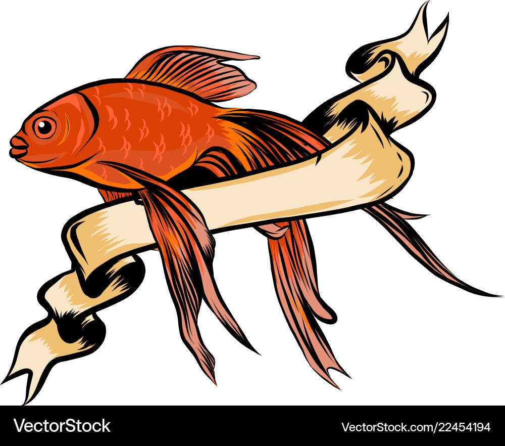 Red drum redfish Royalty Free Vector Image - VectorStock