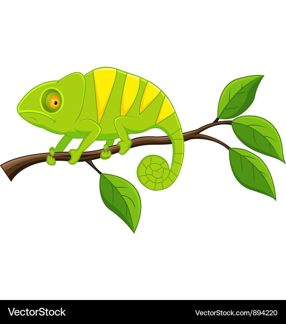 Cute iguana cartoon Royalty Free Vector Image - VectorStock