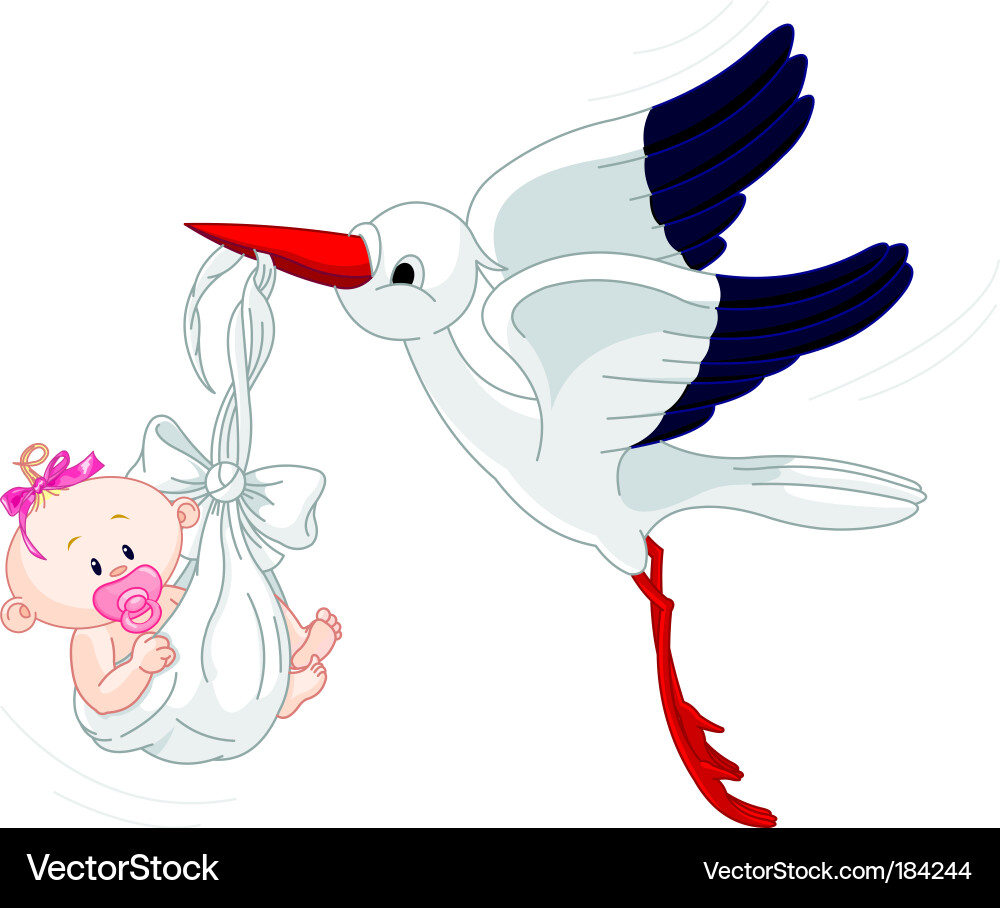 Stork and baby Royalty Free Vector Image - VectorStock