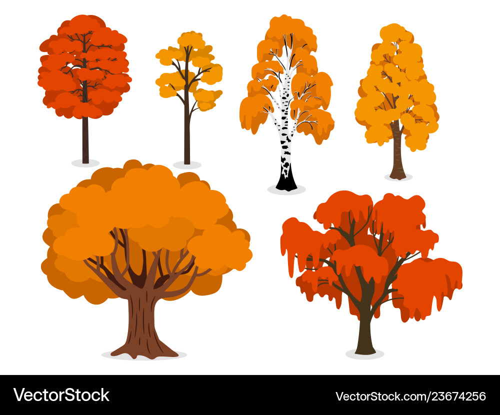Yellow orange and red forest trees isolated Vector Image